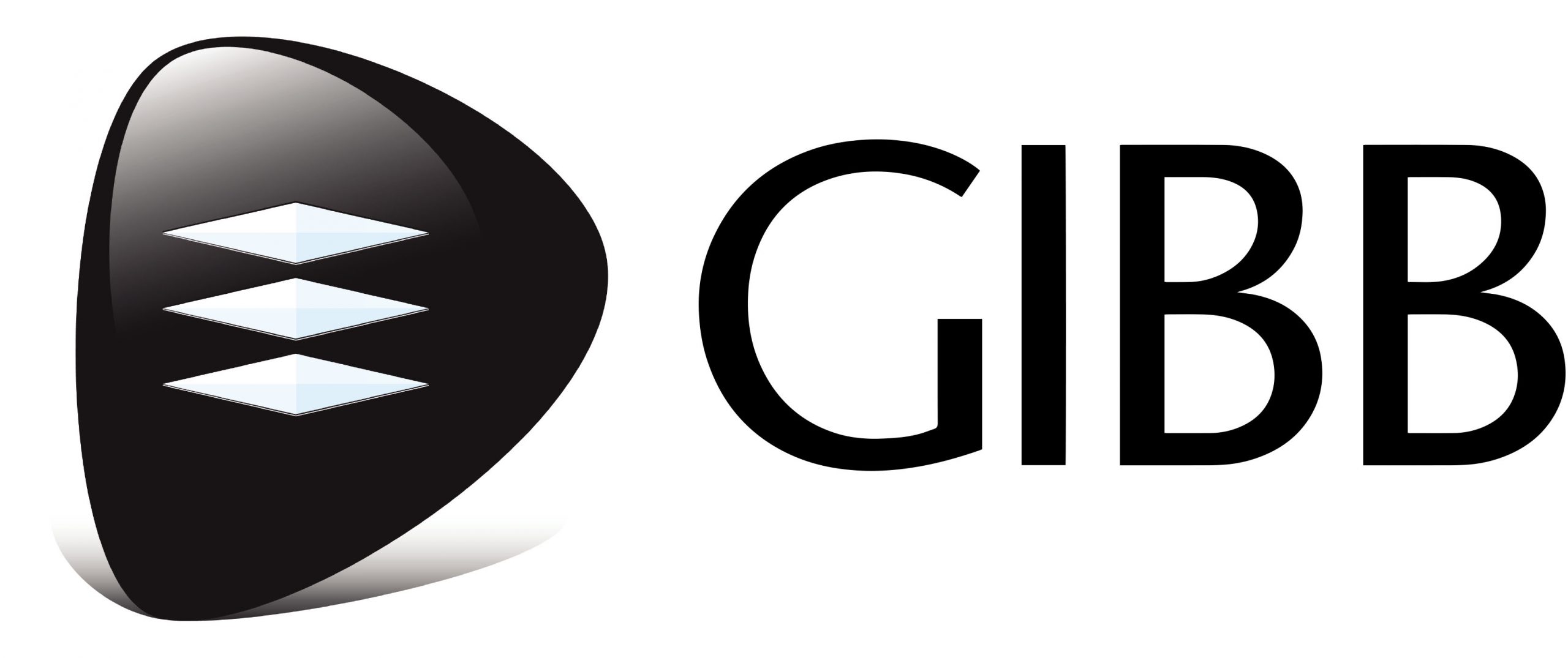 GIBB partners with YES initiative to drive youth employability - GIBB